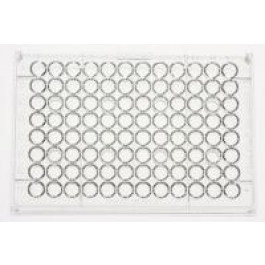 THERMO DISPOSABLE MICROTITRE PLATES 96 WELL